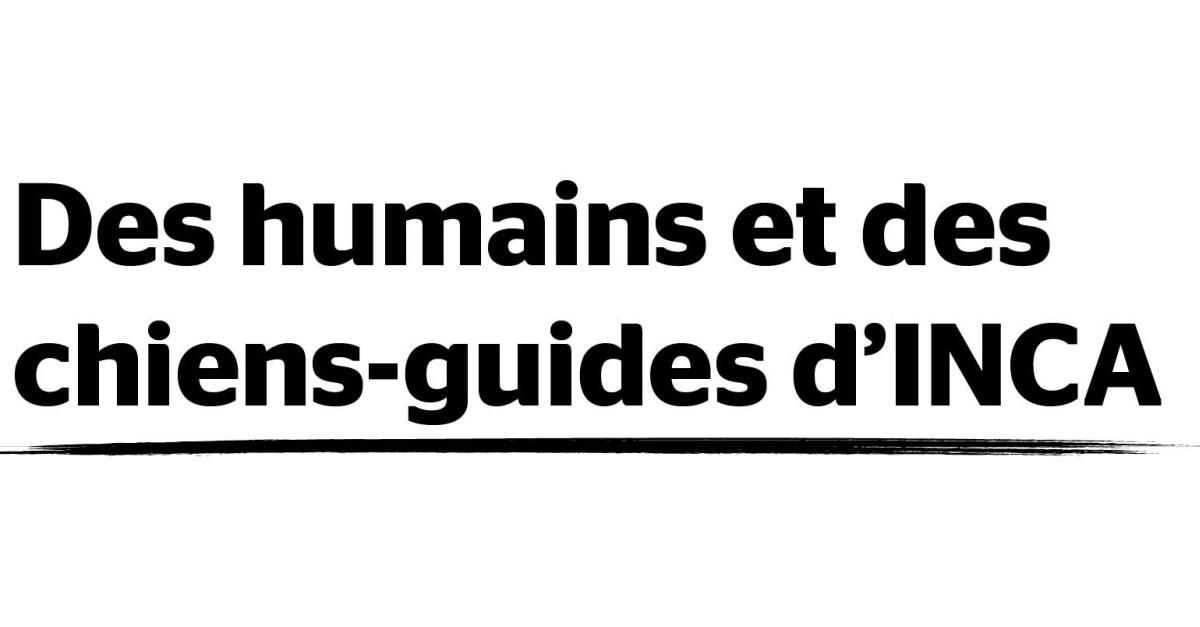 Des humains et des chiens-guides d’INCA | INCA